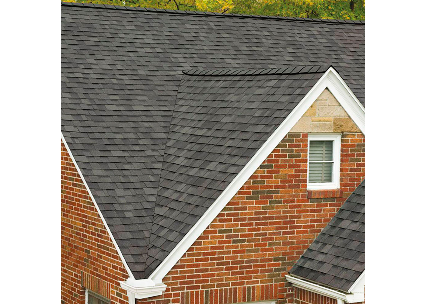 Teja asfaltica oakridge pro 30 onyx negra 3.1